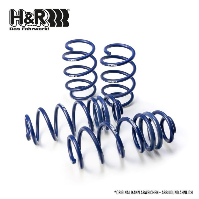 H&R Lowering Spring Kit For Honda Civic FK8 TypeR - Dynodaze ...